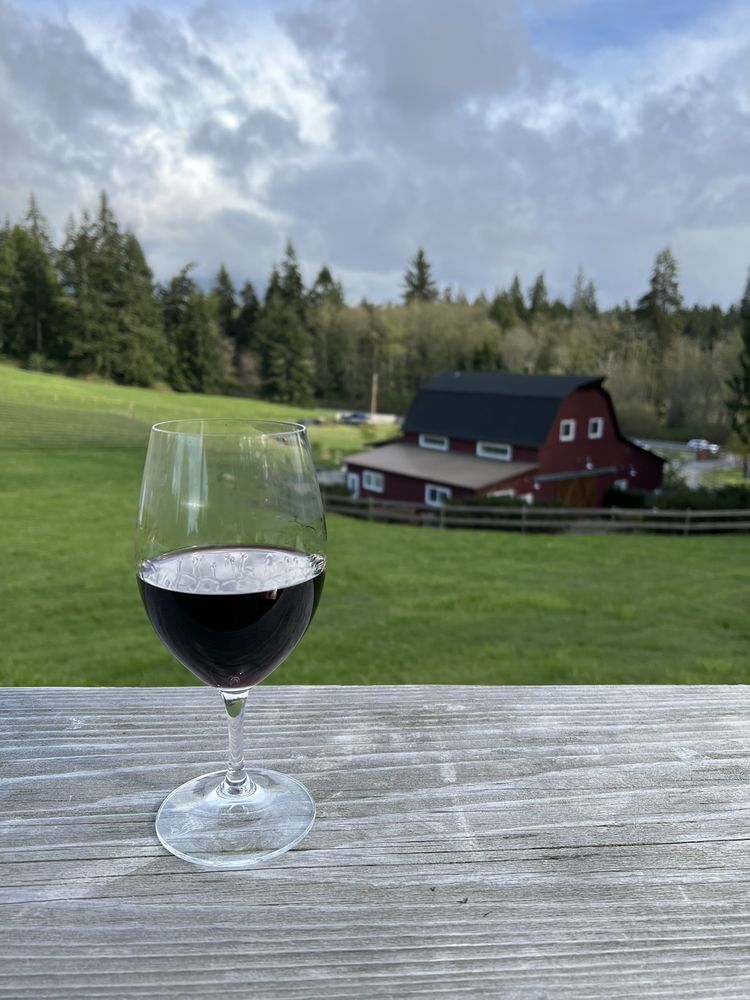 DANCING FISH VINEYARDS - 48 Photos & 31 Reviews - 1953 Newman Rd ...