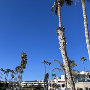 BEACHCOMBER INN - Updated June 2024 - 232 Photos & 105 Reviews - 533 ...