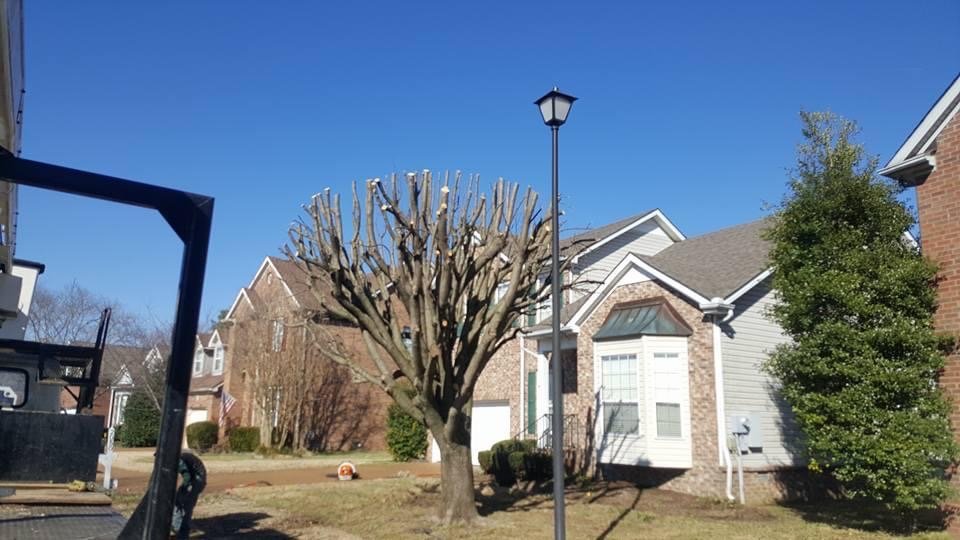 SWEENEY TREE AND LAWN - 3299 Fly Rd, Santa Fe, Tennessee - Tree ...