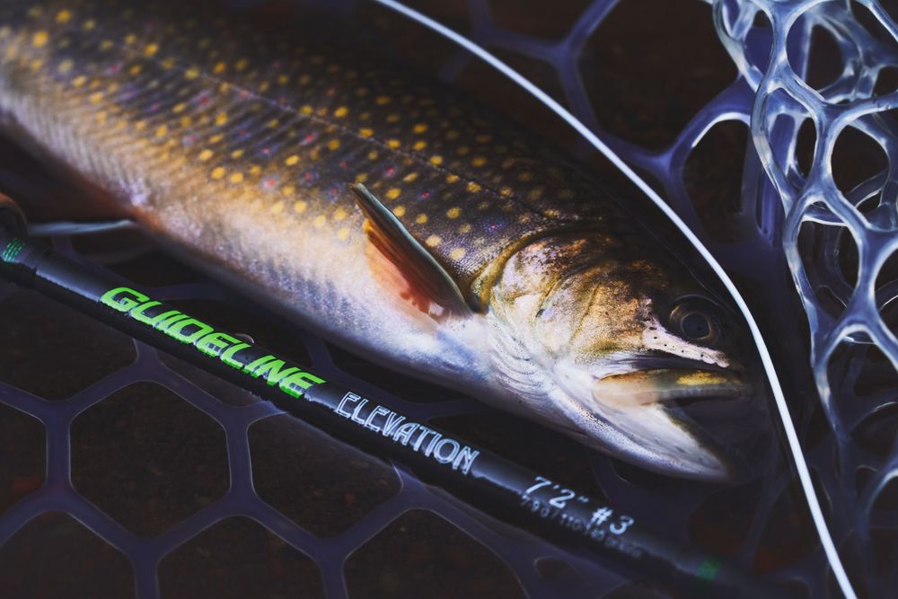 Fly Haus, Manchester Center | Roadtrippers