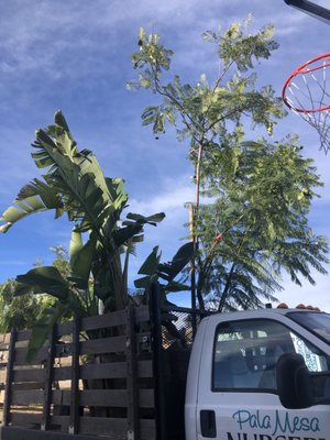 RAINBOW VALLEY NURSERY - Updated December 2025 - 11 Photos & 13 Reviews ...