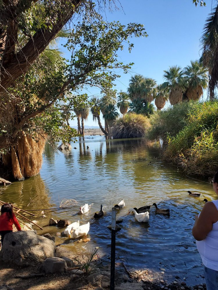 YUMA CONSERVATION GARDEN - 21 Photos - 2520 E 32nd St, Yuma, Arizona ...
