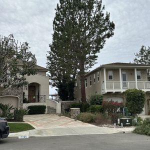 ALL ACCESS TREE CARE - Updated March 2025 - 182 Photos & 281 Reviews ...