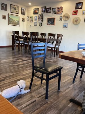 HOWLING DOG CAFE - Updated January 2026 - 72 Photos & 65 Reviews - 2626 ...