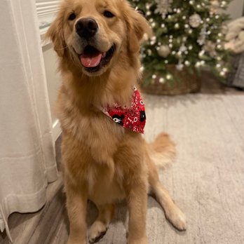 HYDRODOG BERT - Updated January 2026 - 34 Photos & 22 Reviews - Redmond ...