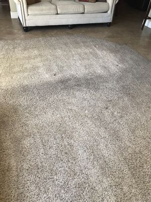 WORLD CLASS CARPET CLEANING - Updated April 2025 - 196 Photos & 477 ...
