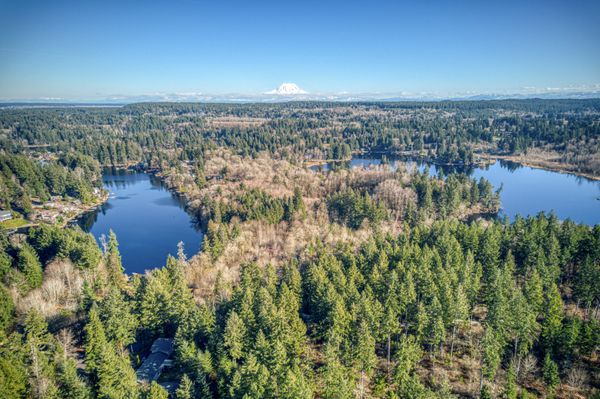 MAGGI NEWELL - EXP REALTY - Contact Agent - 2815 Elliott Ave, Seattle ...