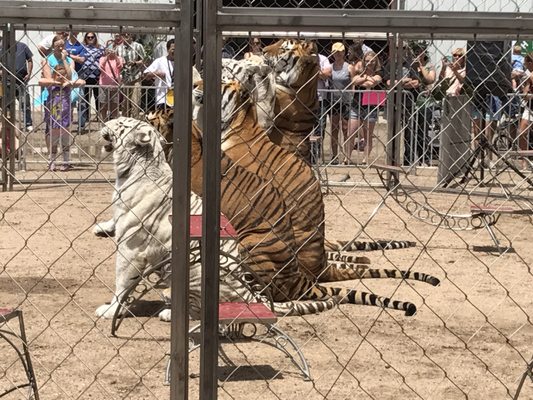 EL PASO COUNTY FAIRGROUNDS - Updated May 2025 - 366 10th St, Calhan ...