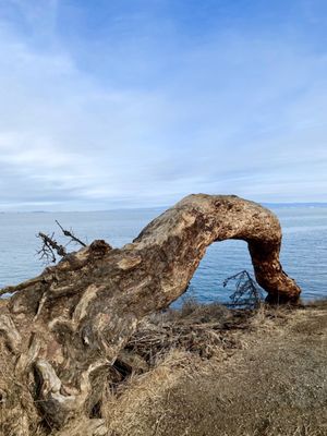 COYOTE POINT RECREATION AREA - Updated October 2025 - 242 Reviews & 678 ...