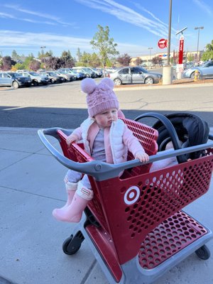 TARGET - Updated November 2025 - 39 Photos & 45 Reviews - 4915 S Regal ...