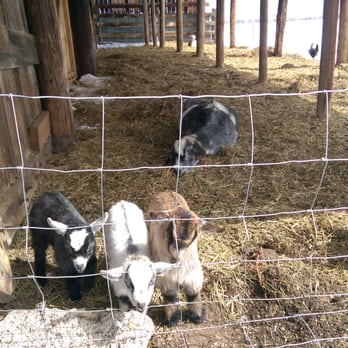 7TH GENERATION FARM - Updated March 2025 - 20 Photos & 20 Reviews ...