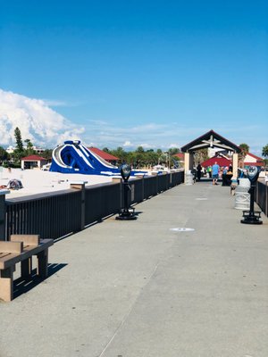 CLEARWATER BUNGEE JUMP - Updated January 2026 - 27 Photos - 1 Causeway ...