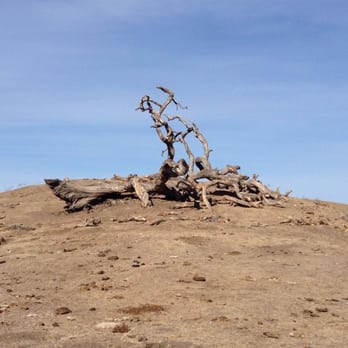 DIABLO FOOTHILLS REGIONAL PARK - Updated January 2026 - 244 Photos & 45 ...