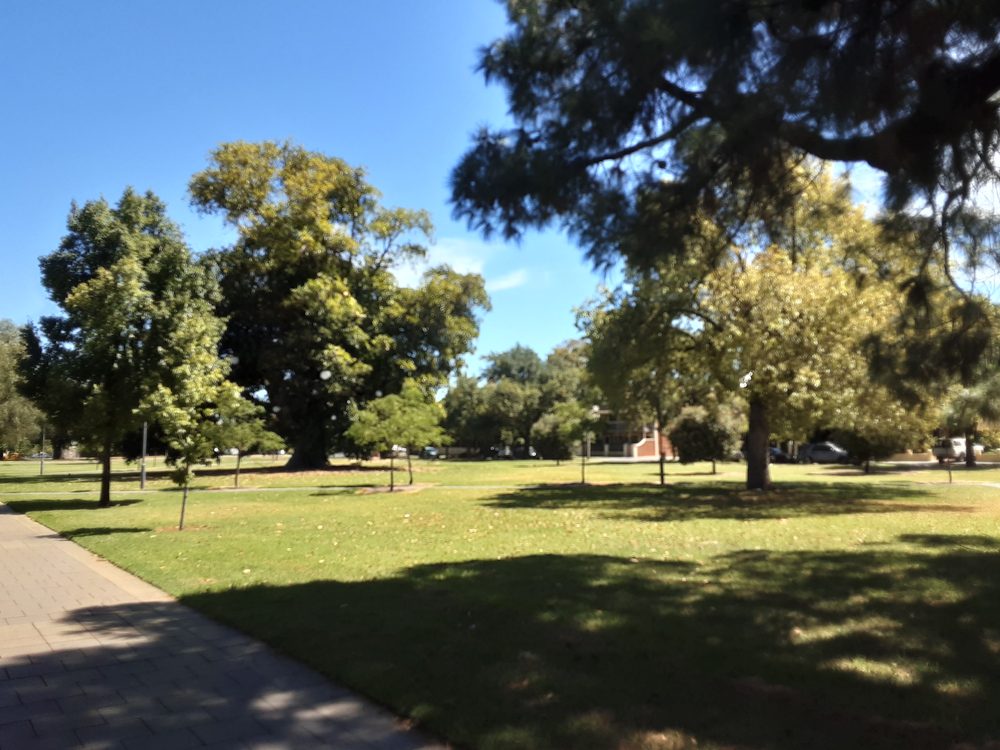 HURTLE SQUARE - Updated August 2024 - 13 Photos - Cnr Pulteney And ...