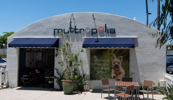 MUTTROPOLIS - Updated January 2026 - 90 Photos & 94 Reviews - 227 S ...