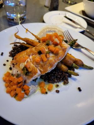 WILDCRAFT - Updated January 2026 - 130 Photos & 103 Reviews - 425 King ...