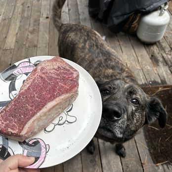 GREAT BASIN BREWING CO. - MINDEN - Updated January 2025 - 85 Photos ...