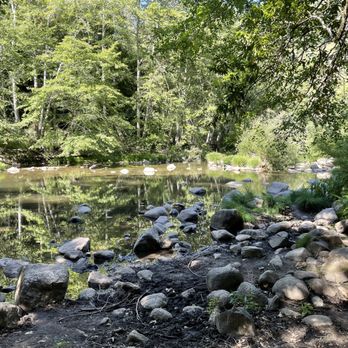 GARDEN OF EDEN - HENRY COWELL REDWOODS STATE PARK - Updated December ...