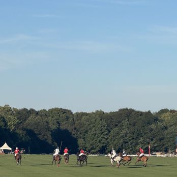 NEWPORT POLO - Updated May 2026 - 76 Photos & 22 Reviews - 250 Linden ...