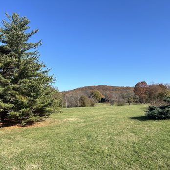 BERNHEIM FOREST AND ARBORETUM - Updated August 2025 - 1384 Photos & 147 ...