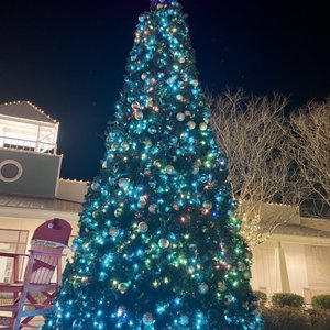 TANGER OUTLETS - REHOBOTH BEACH - 85 Photos & 130 Reviews - 36470 ...