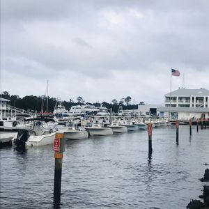 ATLANTIC PRO DIVERS - Updated October 2025 - 143 Photos & 28 Reviews ...