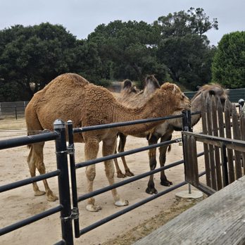 VISION QUEST RANCH - Updated November 2025 - 827 Photos & 320 Reviews ...