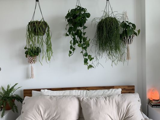 ISAAC FARMS - Updated May 2024 - 445 Photos & 107 Reviews - 18800 SW ...