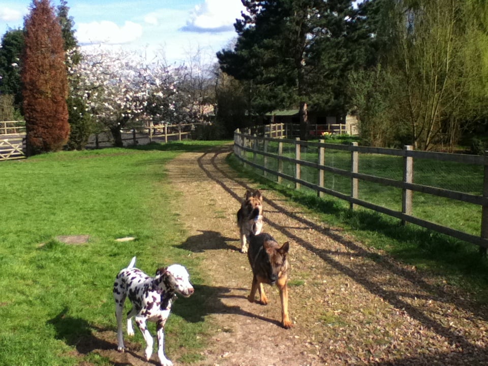 HOME FROM HOME - manor farm cottage the common, Kings Langley ...