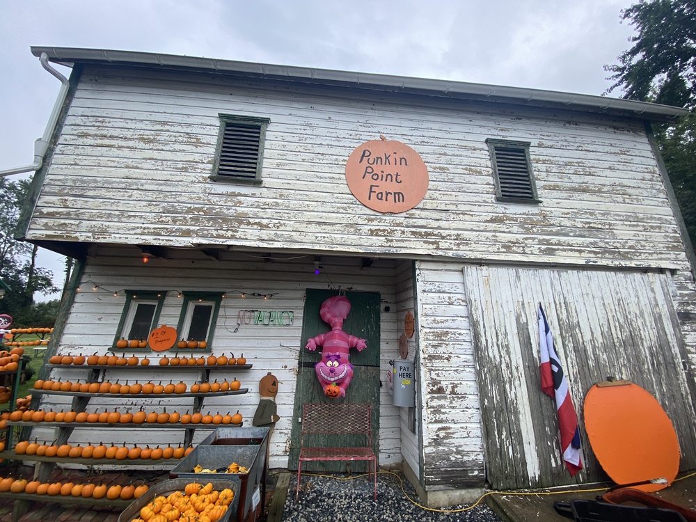 PUNKIN POINT FARM - Updated August 2024 - 15 Photos - 825 York Rd ...
