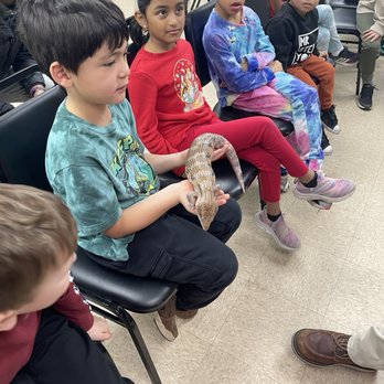 SNAKE DISCOVERY A REPTILE EXPERIENCE - Updated October 2025 - 44 Photos ...