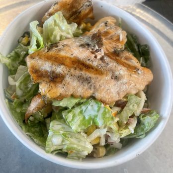 PIADA ITALIAN STREET FOOD - Updated November 2025 - 115 Photos & 92 ...