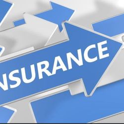 TOP 10 BEST Segura Insurance Agency near Brentwood, NY 11717 - Updated ...