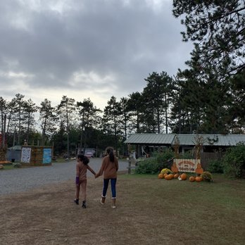 PINEHAVEN FARM - Updated October 2025 - 94 Photos & 25 Reviews - 28186 ...