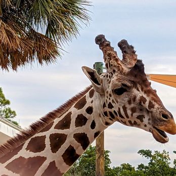 NAPLES ZOO - Updated July 2025 - 1038 Photos & 324 Reviews - 1590 ...