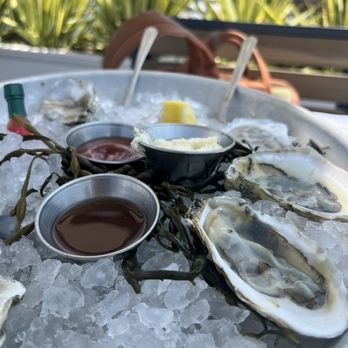 THE CHOPTANK - Updated May 2025 - 734 Photos & 431 Reviews - 110 ...