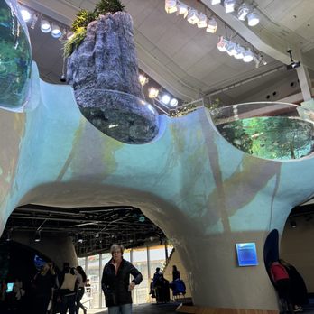 SEATTLE AQUARIUM - Updated January 2025 - 4205 Photos & 1399 Reviews ...