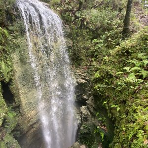 FALLING WATERS STATE PARK - 200 Photos & 51 Reviews - 1130 State Park ...