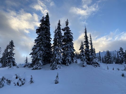 ARTIST POINT TRAILHEAD - Updated October 2024 - 95 Photos & 10 Reviews ...