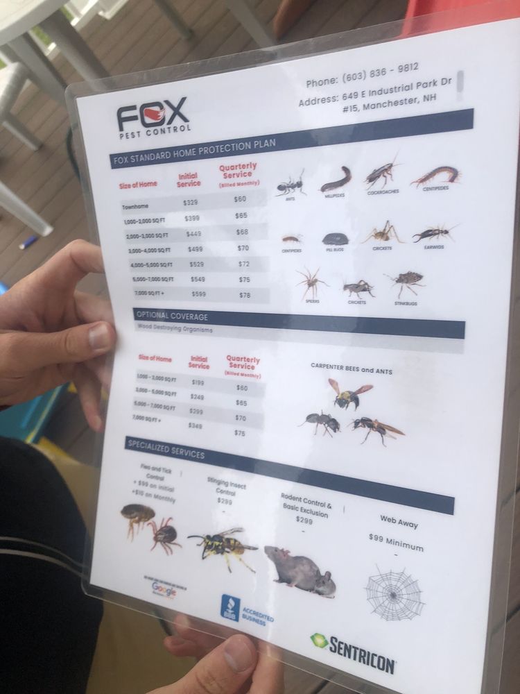 FOX PEST CONTROL - MANCHESTER - Updated October 2025 - 24 Reviews - 649 ...