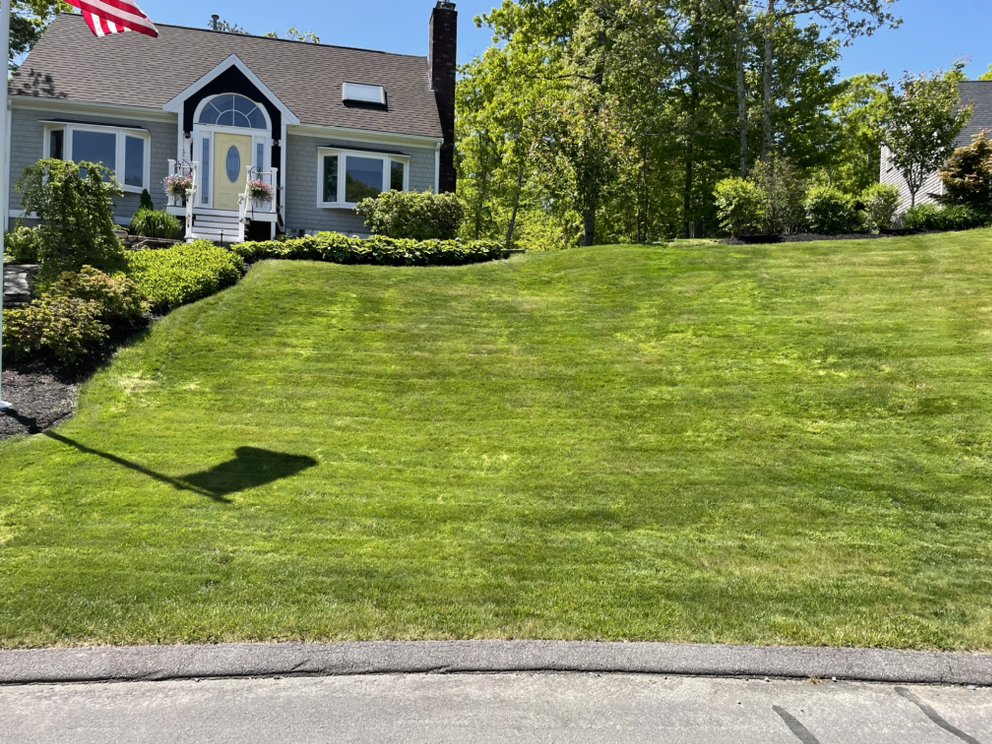 CAPE COD ELITE LAWN CARE - Updated April 2024 - Teaticket ...