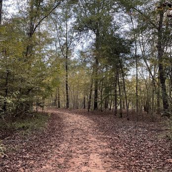 LAKE POINT RESORT STATE PARK - Updated October 2025 - 19 Photos & 14 ...