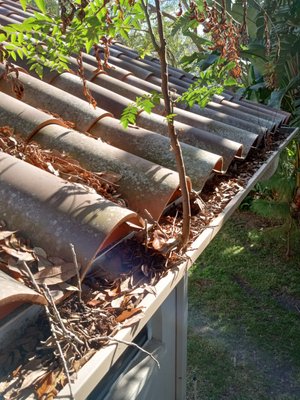 KEN’S GUTTERS - Updated January 2026 - 16 Photos & 24 Reviews - 1231 ...