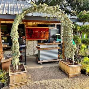 HOPE VALLEY TREE FARM - 26 Photos & 17 Reviews - 240 Earhardt Rd ...