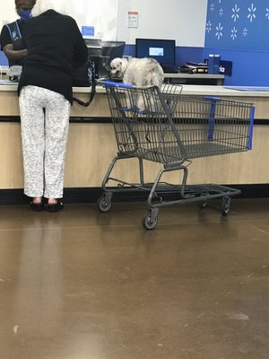 WALMART SUPERCENTER - 52 Photos & 100 Reviews - Department Stores ...