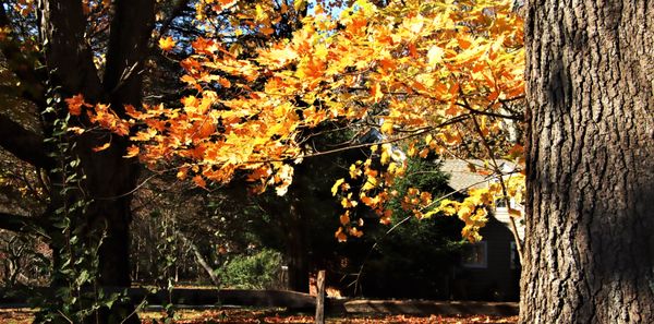 TARGET ROCK NATIONAL WILDLIFE REFUGE - Updated October 2025 - 84 Photos ...