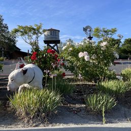 VAIL RANCH HEADQUARTERS - Updated July 2025 - 187 Photos & 31 Reviews ...