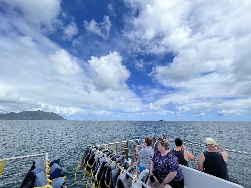 CAPTAIN BOB’S PICNIC SAIL - Updated January 2026 - 228 Photos & 206 ...