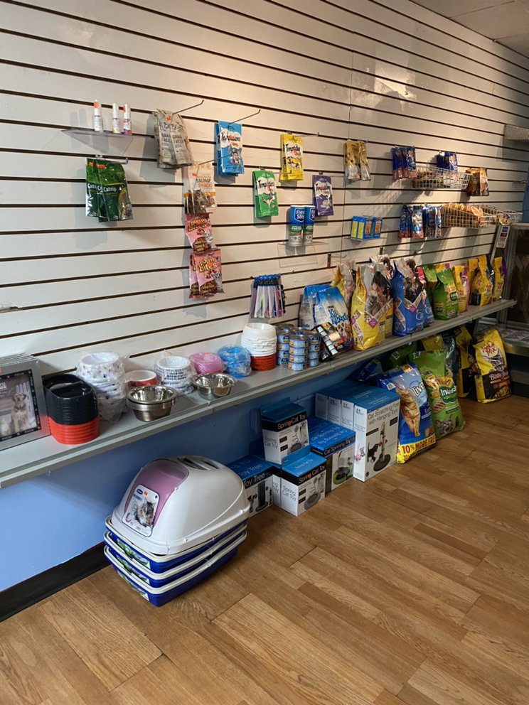 PETS R US - Updated November 2024 - 41 Photos - 337 Driving Park Ave ...