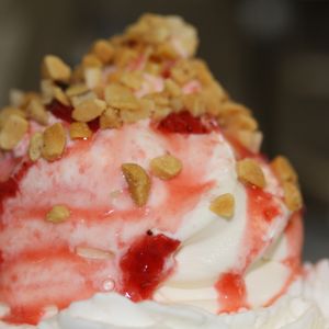 GERST BAVARIAN HAUS - Updated April 2025 - 312 Photos & 329 Reviews ...